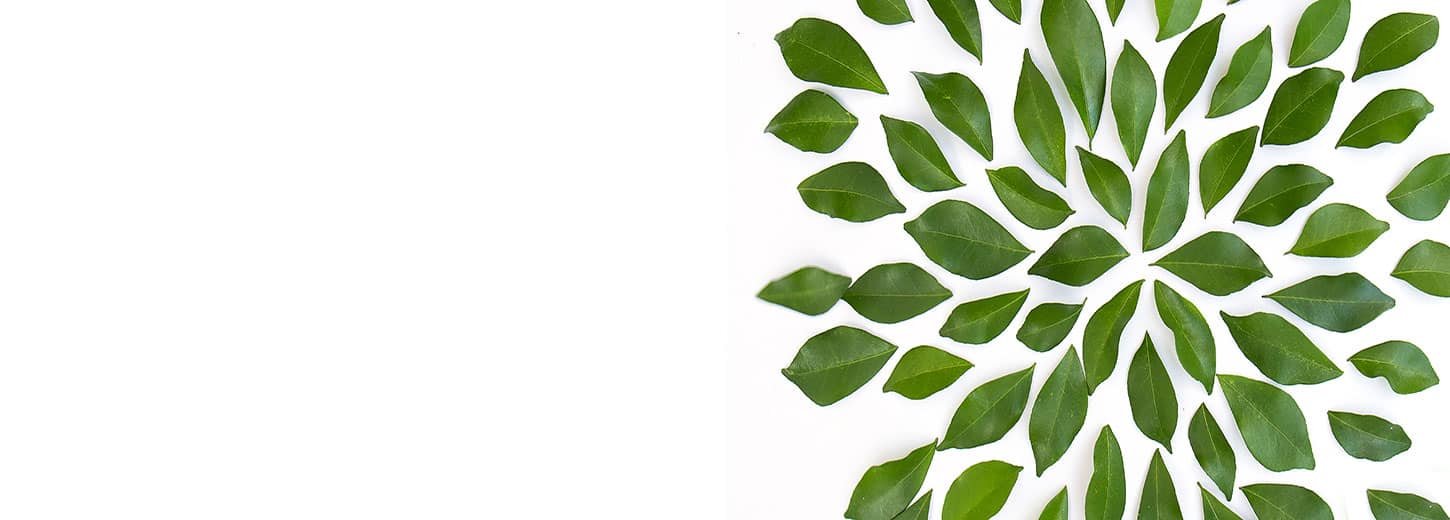 Environmental Engineers, Consultants, Contractors | SCS Engineers